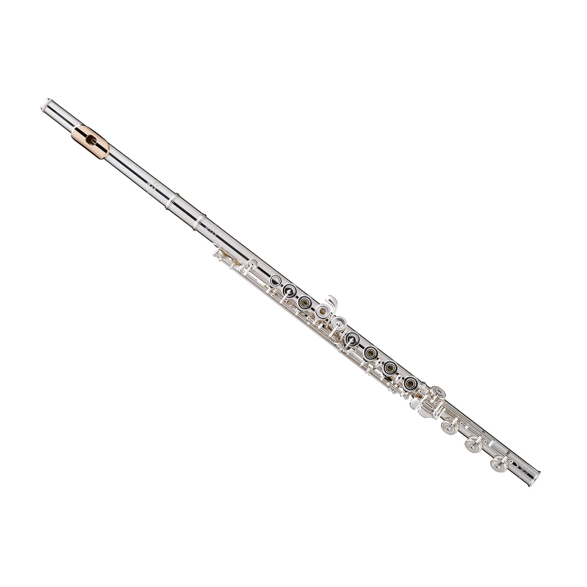 Shop Flutes, Piccolos & Accessories | Schmitt Music Flute Gallery