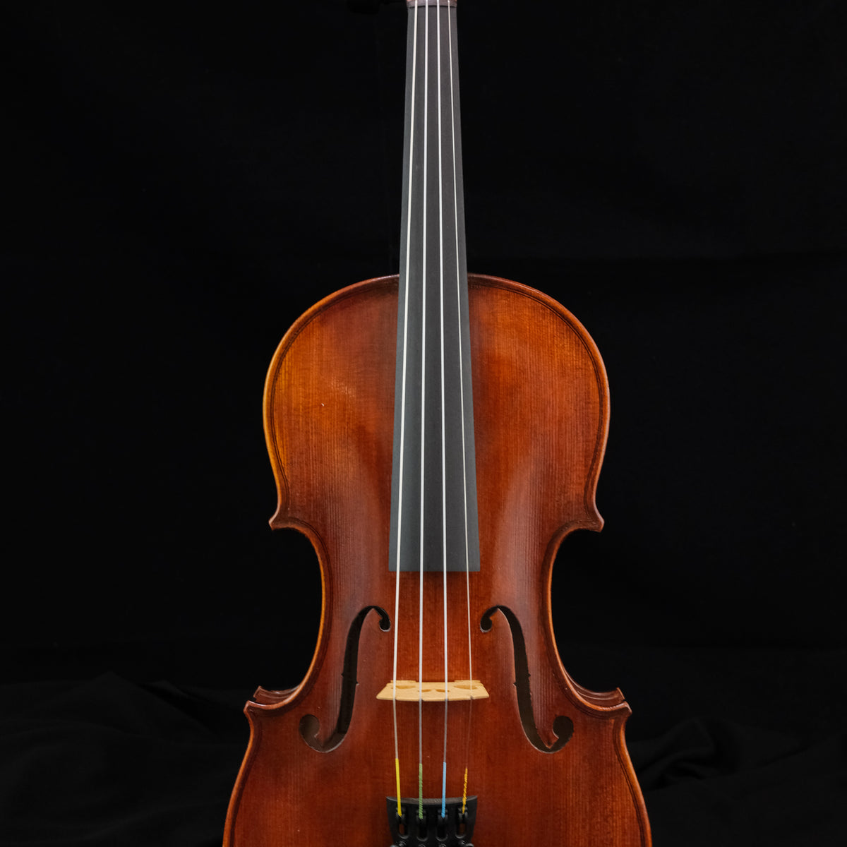 Eastman 315 Violin | The Violin Shop at Schmitt Music